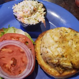 PURPLE PARROT GRILL - Updated July 2024 - 421 Photos & 560 Reviews ...