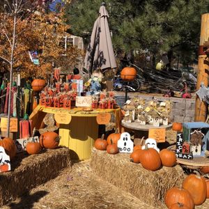 ASPEN NATURE LOOP - Updated December 2025 - 55 Photos & 18 Reviews ...