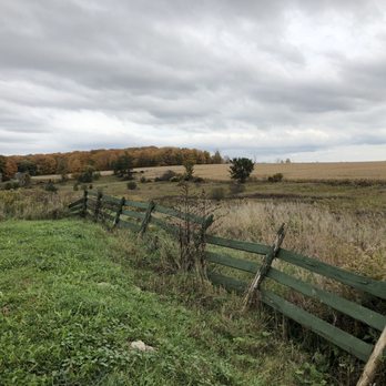 CAVAN HILLS VETERINARY SERVICES - Updated January 2026 - 10 Photos & 23 ...