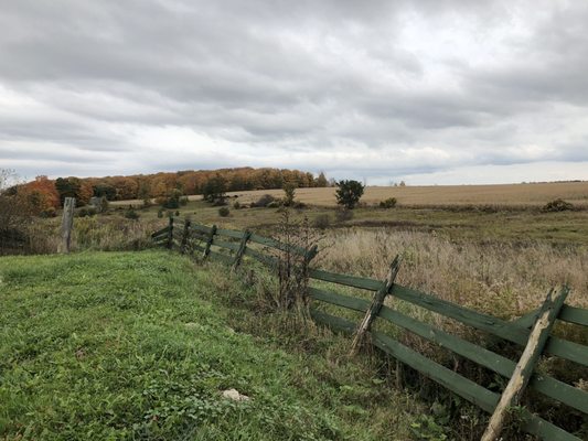 CAVAN HILLS VETERINARY SERVICES - Updated August 2024 - 10 Photos & 19 ...