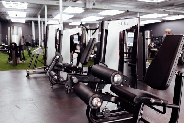 TEXAS FLEX FITNESS - Updated January 2026 - Request Information - 13 ...