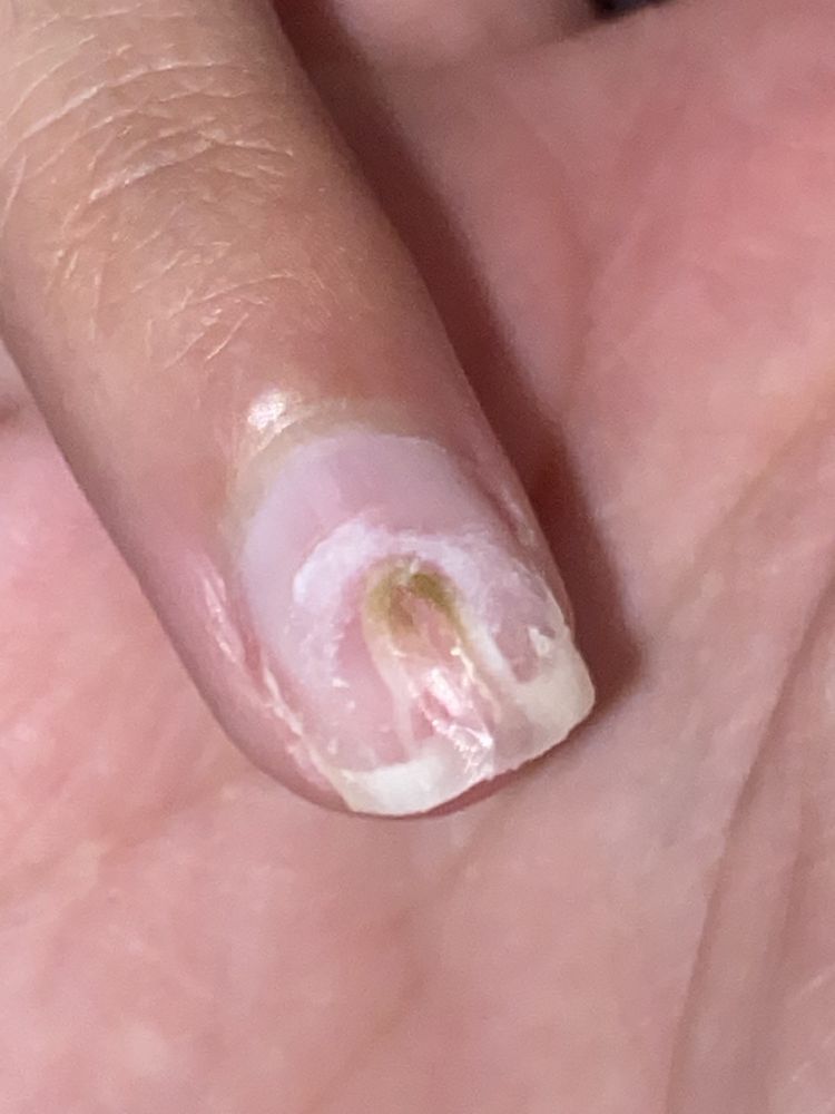 ROSE NAILS - Updated June 2026 - 426 Photos & 74 Reviews - 455 Moody St ...