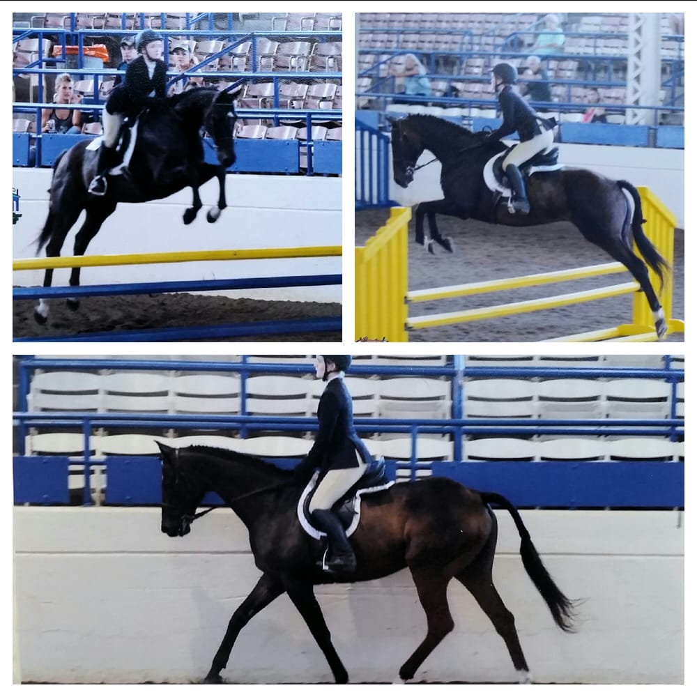 ROCKING L RANCH - Updated September 2024 - 1075 Gore Rd, Morris ...