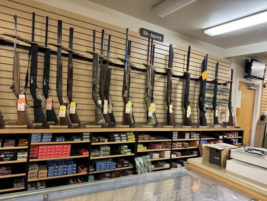 P2K SPORTS - Updated December 2025 - 332 Photos & 459 Reviews - 2082 ...