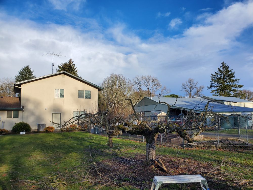 WILD GEESE TREE CARE - Updated August 2025 - 28 Photos - Eugene, Oregon ...