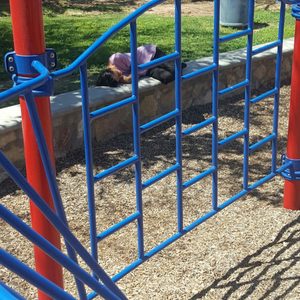 WHITE SPUR PARK - 23 Photos - 4800 Love Rd, El Paso, Texas ...