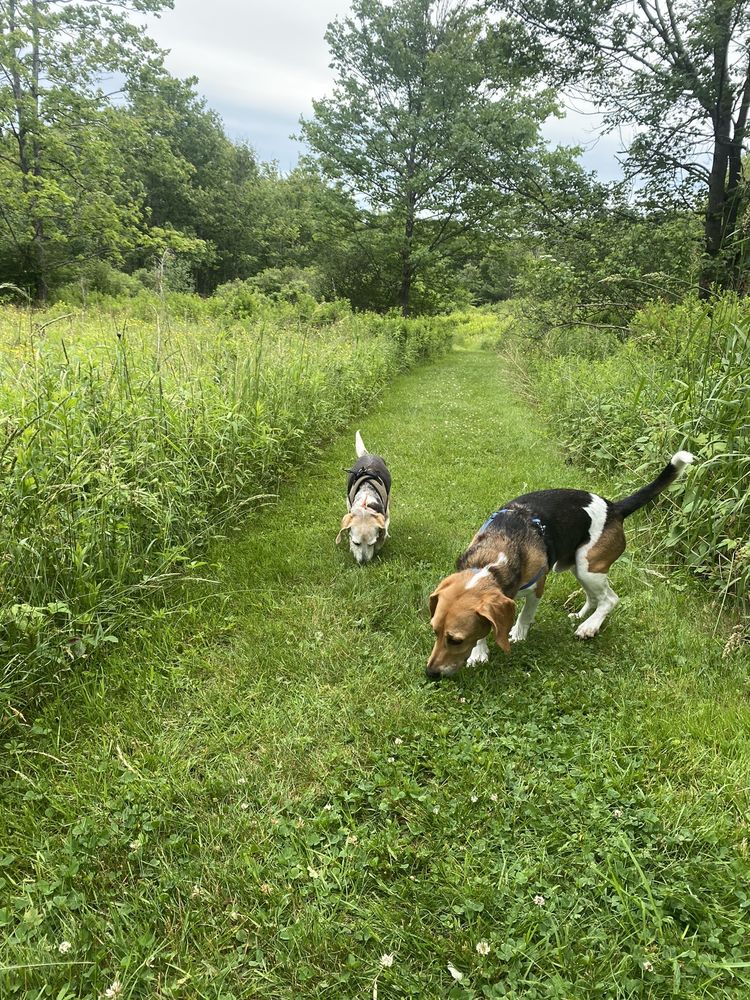 SMITH RIDGE VETERINARY - Updated August 2025 - 44 Reviews - 600 ...