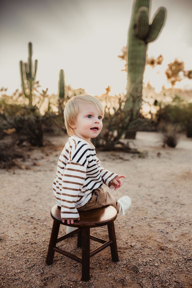 WILLOW & RY - 59 Photos - Queen Creek, AZ - Yelp