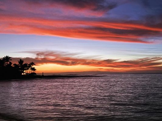 MOANA RESTAURANT - Updated December 2024 - 61 Photos & 25 Reviews - 72 ...