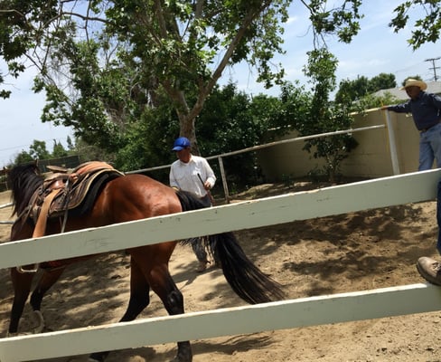 AVOCADO HEIGHTS PARK - Updated October 2025 - 25 Photos & 11 Reviews ...