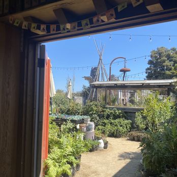 HOOK FISH AT PROOF LAB BEER GARDEN - Updated May 2024 - 737 Photos ...