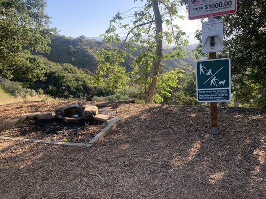 FRYMAN CANYON PARK - Updated September 2024 - 266 Photos & 108 Reviews ...