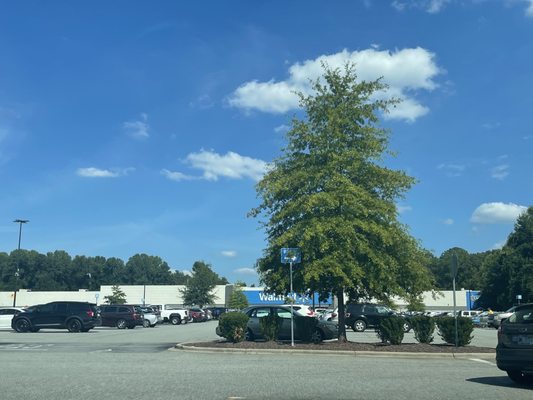 WALMART SUPERCENTER - 23 Photos & 36 Reviews - Department Stores - 3738 ...