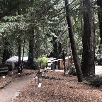 HENRY MILLER MEMORIAL LIBRARY - Updated January 2025 - 164 Photos & 73 ...