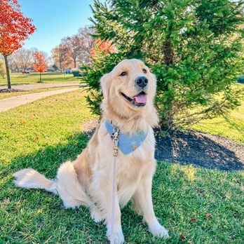 MASON ANIMAL HOSPITAL - Updated December 2025 - 19 Reviews - 771 ...