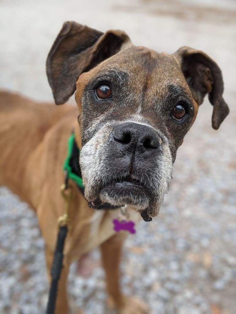 ALAQUA ANIMAL REFUGE - Updated February 2025 - 16 Photos & 20 Reviews ...