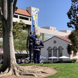 SAN JOSE STATE UNIVERSITY - 334 Photos & 318 Reviews - Colleges ...