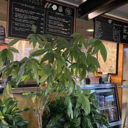 MAS CAFE - Updated October 2025 - 267 Photos & 240 Reviews - 1906 N ...