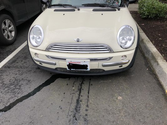 SEATTLE MINI - Updated August 2025 - 72 Photos & 225 Reviews - 11550 ...