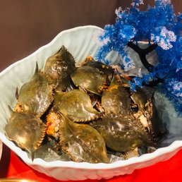 SEAPOT KOREAN BBQ & HOT POT - Updated June 2024 - 553 Photos & 498 ...