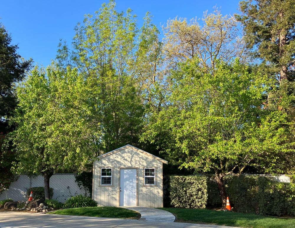 MONTEREY TREE SERVICE - Updated August 2025 - 22 Photos - Sacramento ...