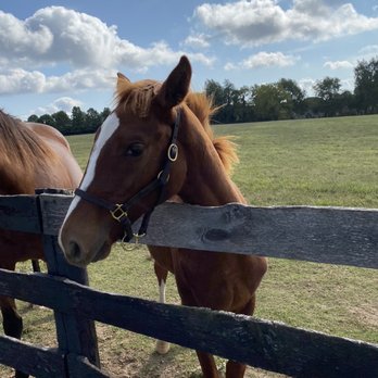 MILL RIDGE FARM - Updated October 2025 - 73 Photos & 16 Reviews - 2800 ...