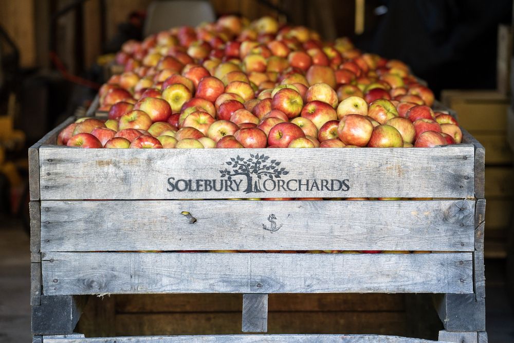 SOLEBURY ORCHARDS - Updated December 2024 - 154 Photos & 100 Reviews ...
