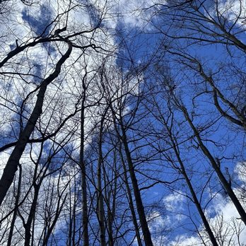 GOODYEAR HEIGHTS METRO PARK - Updated December 2025 - 19 Photos - 2077 ...