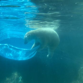 POINT DEFIANCE ZOO & AQUARIUM - Updated February 2026 - 1876 Photos ...