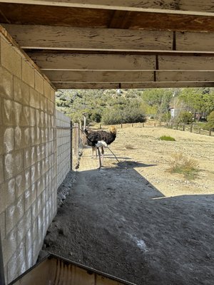 QUAIL RUN RANCH - Updated November 2025 - 129 Photos & 51 Reviews ...