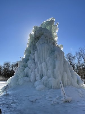 VEAL’S ICE TREE - Updated April 2025 - 36 Photos - 6445 Mimosa Ln ...