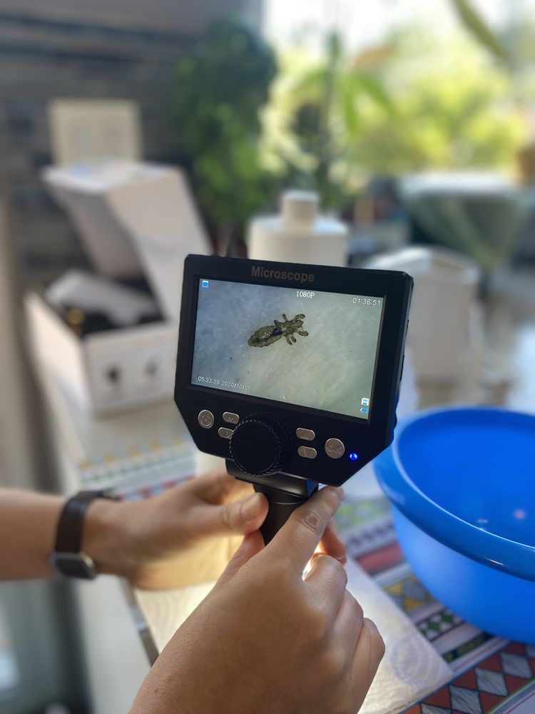 LICE SPA - Updated December 2025 - 13 Photos & 17 Reviews - San Mateo ...