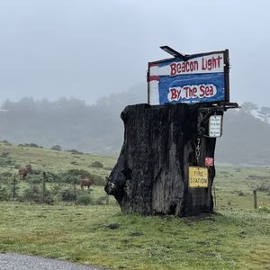 SIGN OF THE WHALE - 18 Photos & 21 Reviews - 194 Main St, Point Arena ...