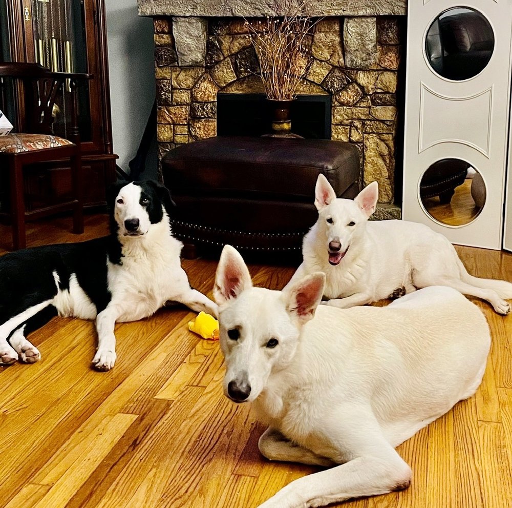 BIG TEX FEED HARDWARE & PET SUPPLY - Updated December 2025 - 11 Photos ...