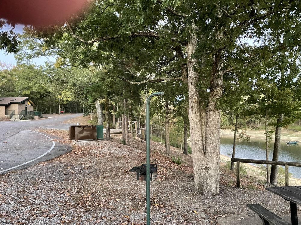 DAISY STATE PARK - Updated October 2025 - 16 Photos & 11 Reviews - 103 ...