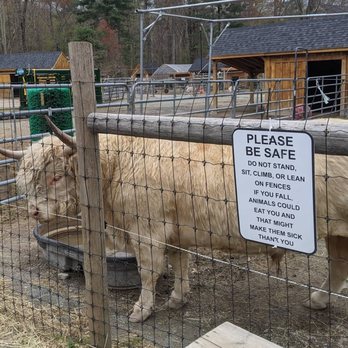 UNITY FARM SANCTUARY - Updated December 2025 - 17 Unity Ln, Sherborn ...