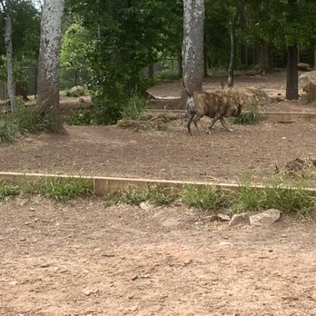 CONESTEE PARK - Updated December 2025 - 24 Photos & 15 Reviews - 840 ...