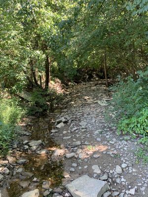 DEVOU PARK - CITY OF COVINGTON PARKS AND RECREATION - Updated September ...