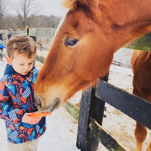 TRUE HEART STABLES - Updated February 2025 - 25 Photos - 1905 River Rd ...