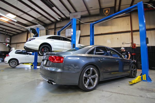 EUROFED AUTOMOTIVE - Updated January 2026 - 121 Photos & 38 Reviews ...