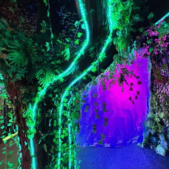 WONDER CHAMBER - Updated January 2026 - 104 Photos & 56 Reviews - 8800 ...