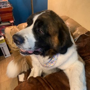 RED RIFLE - 111 Photos & 232 Reviews - Guns & Ammo - 1505 E Del Amo ...