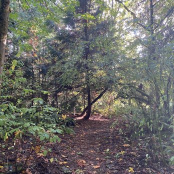 WONDERWOOD PARK - Updated September 2025 - 39 Photos & 14 Reviews - 5304 32nd Ave, Lacey ...