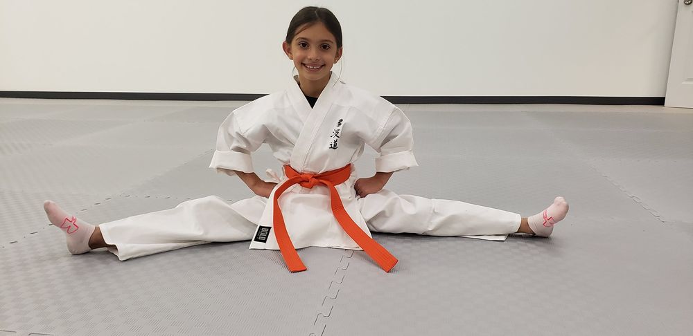 ROSAS’ MARTIAL ARTS - Updated December 2025 - Request Information - 161 ...