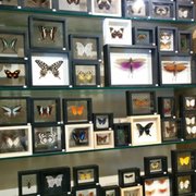 THE EVOLUTION STORE - 309 Photos & 183 Reviews - 687 Broadway, New York ...