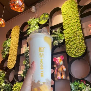 MOGE TEE - ORLANDO - 351 Photos & 127 Reviews - 636 N Mills Ave ...