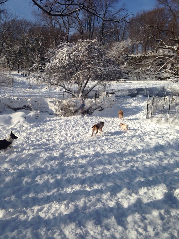 FORT TRYON PARK DOG RUN - Updated July 2025 - 10 Reviews - Magaret ...