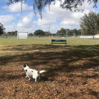 MANGO DOG PARK - Updated January 2026 - 26 Photos & 34 Reviews - 11717 ...