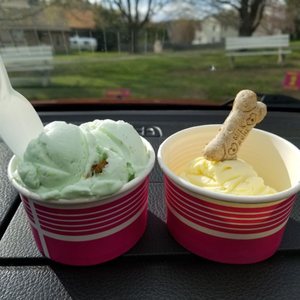 THE MOSQUITO - 21 Photos & 56 Reviews - Ice Cream & Frozen Yogurt ...