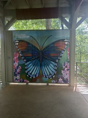 ELACHEE NATURE SCIENCE CENTER - Park in Gainesville, Georgia at 2125 ...